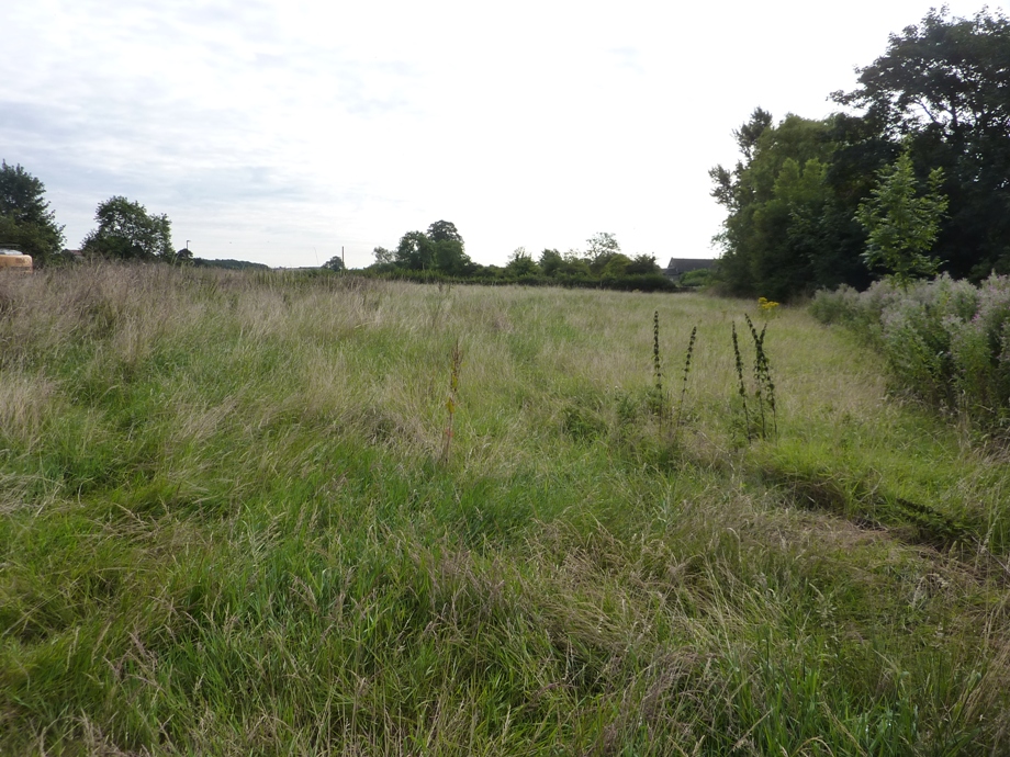 Northallerton Estate Agency